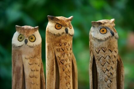 9 Animais de Poder no Xamanismo e o Significado de Cada Um