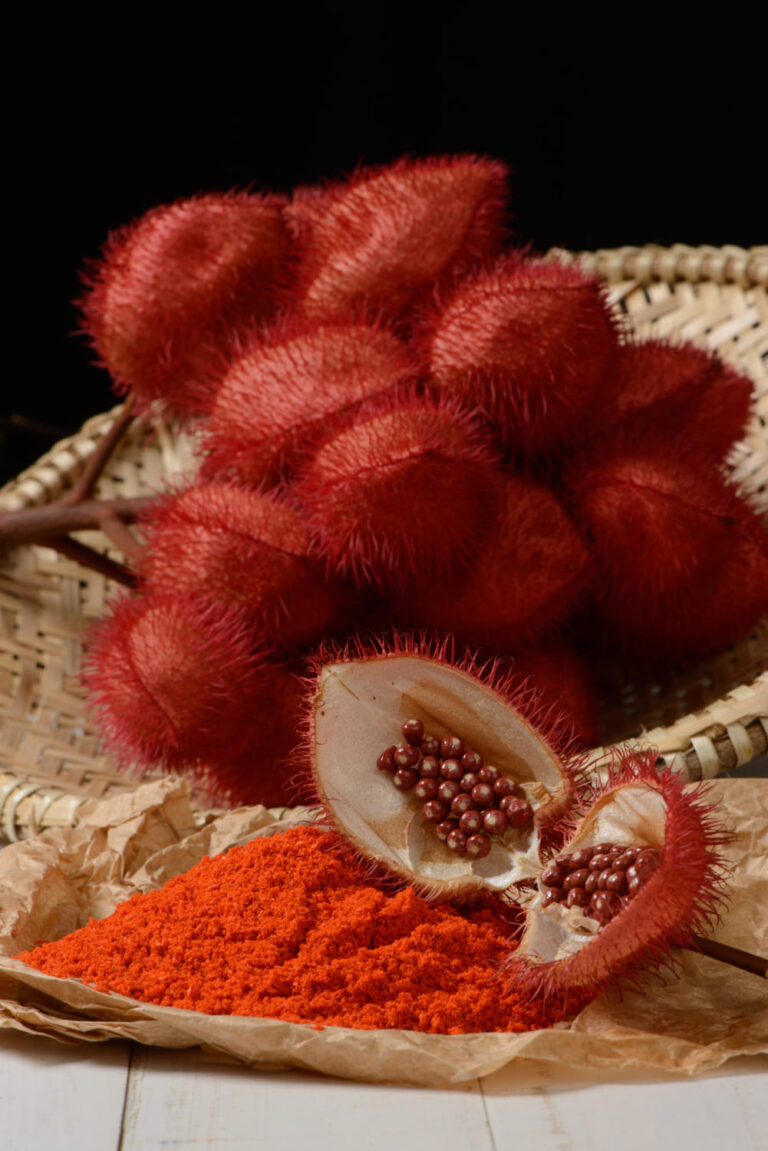 Urucum e seu Significado Espiritual: O Que Representa?